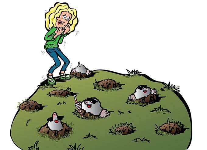 Mollen bestrijden: tips, werkwijze & kosten mollenbestrijding